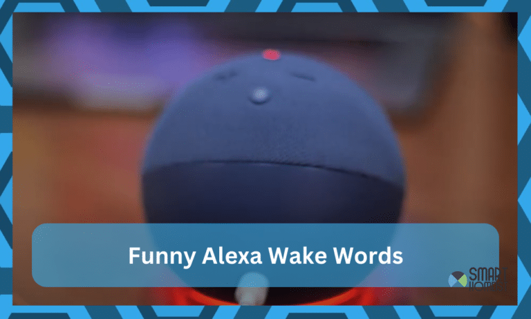 Funny Alexa Wake Words- What You Should Know! - Smart Homeist