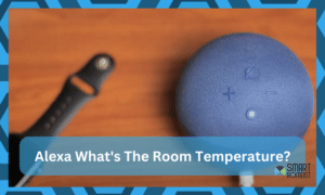 Alexa What's The Temperature Outside? - Smart Homeist
