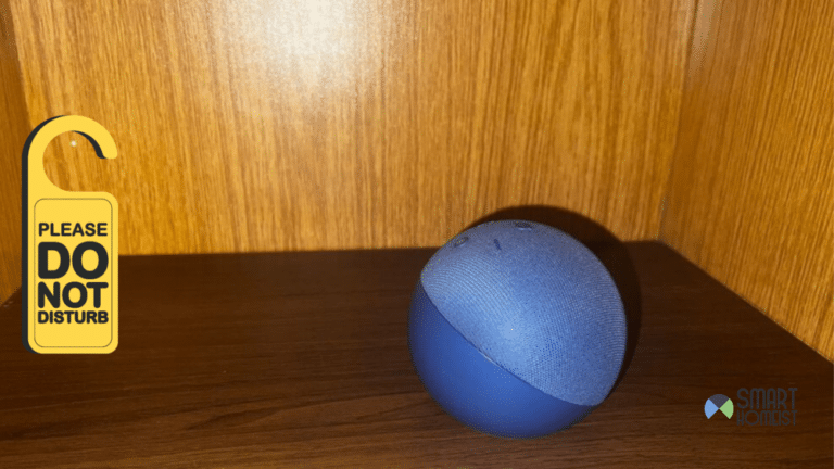 Do Not Disturb On Echo Dot (Explained and How To Turn It On/Off ...